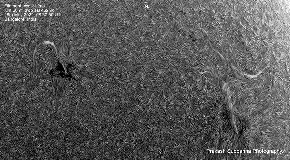 Filaments, Granules - West limb – Lunt Solar Systems