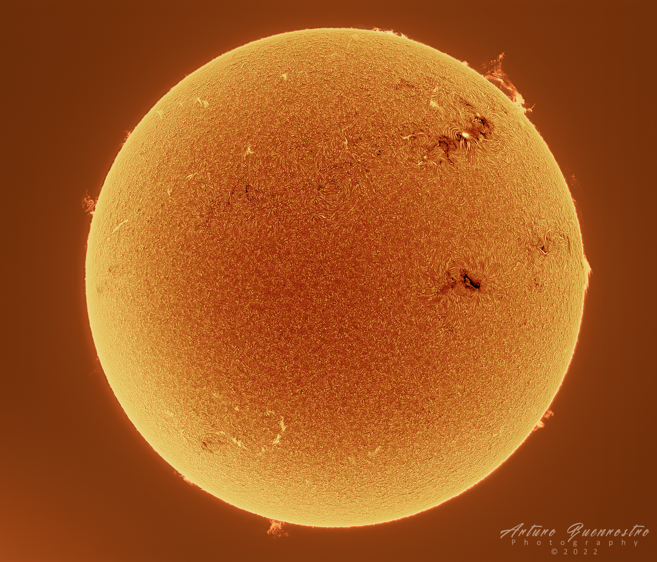 The Sun in March – Lunt Solar Systems
