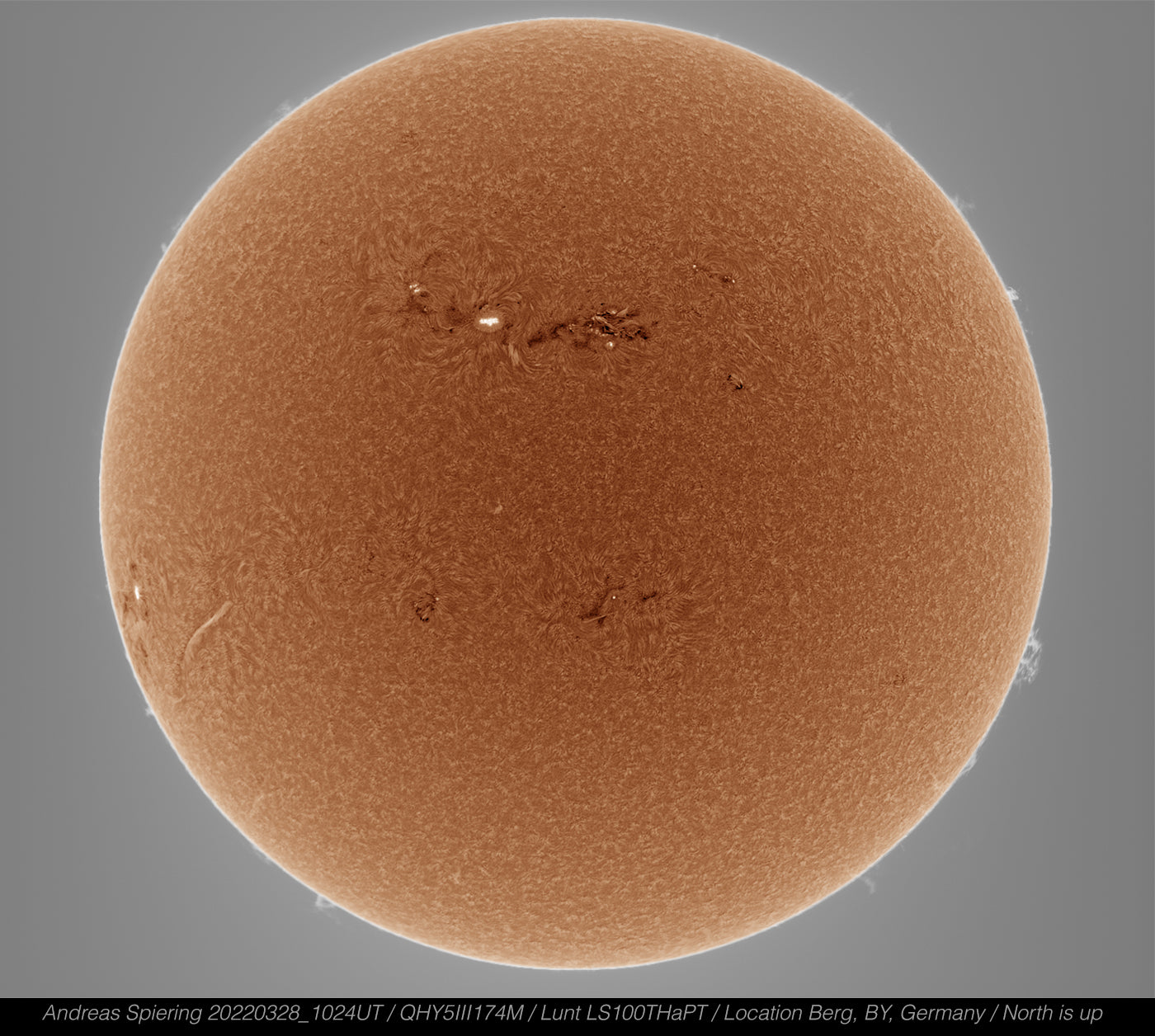 Full Disc of Sun inverted – Lunt Solar Systems