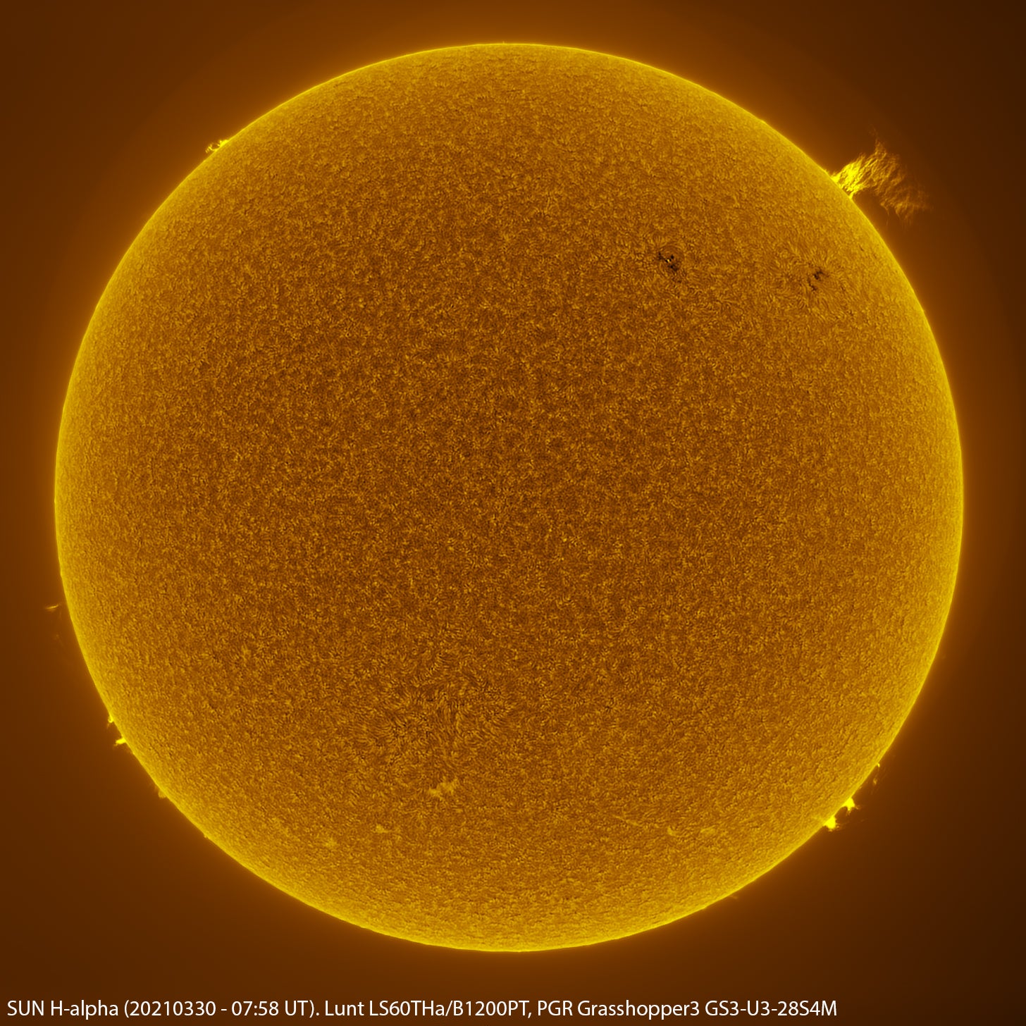 Sun in H-alpha – Lunt Solar Systems