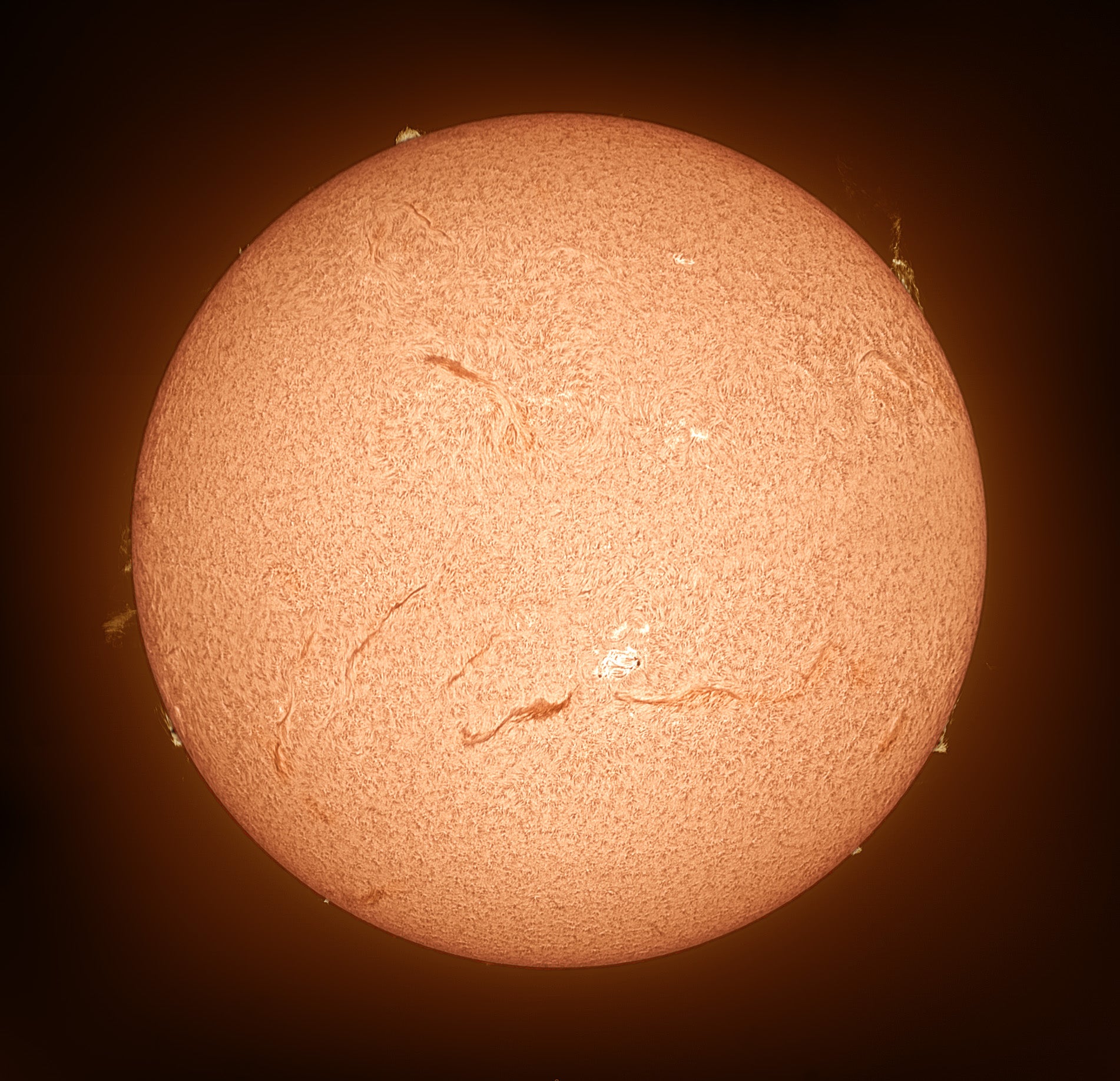 Full Disk Sun – Lunt Solar Systems