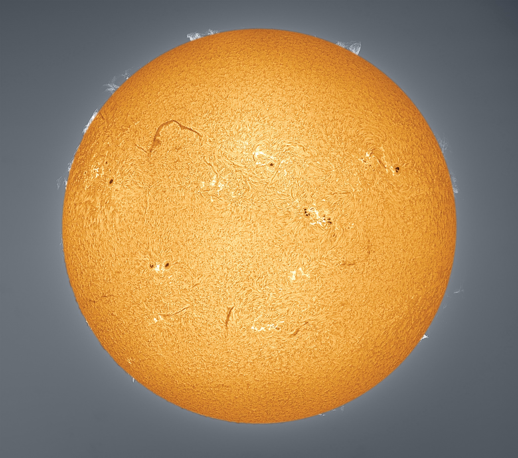 Full Disk Sun – Lunt Solar Systems