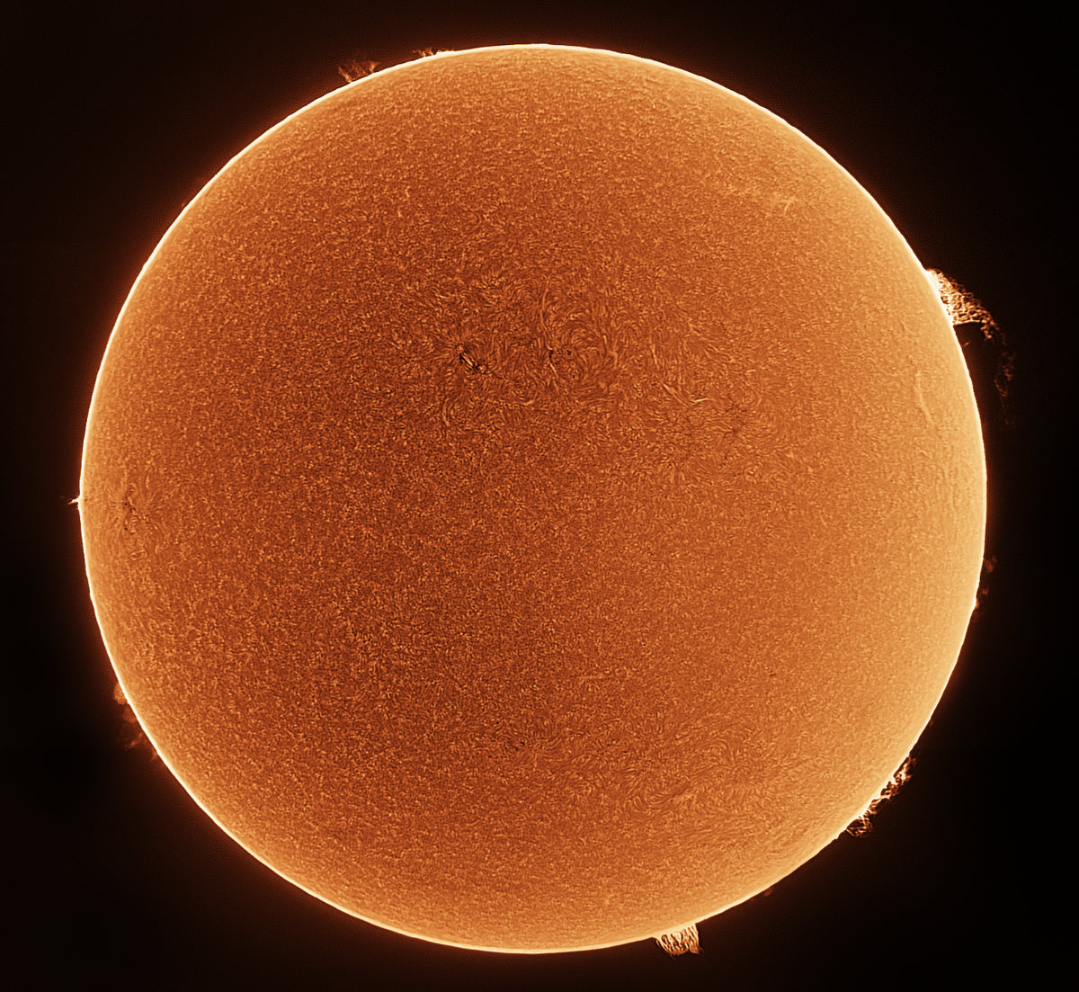 Full Disc - Lunt 40mm - B500 – Lunt Solar Systems