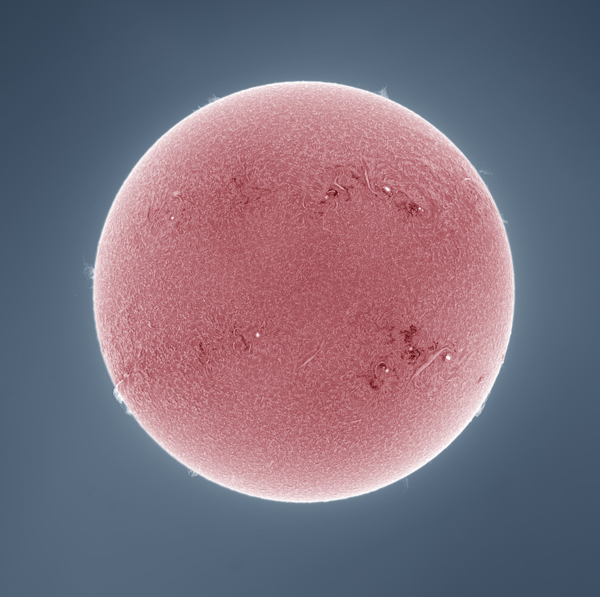 Full Disk Sun – Lunt Solar Systems