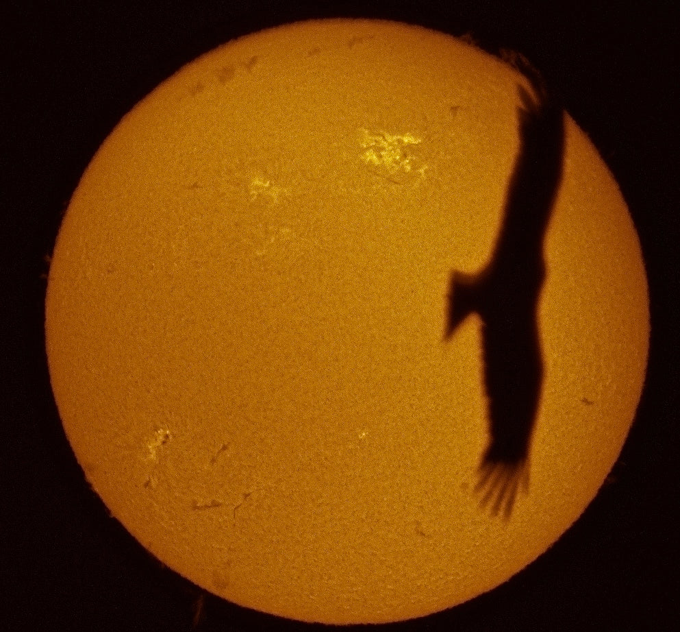 Flight of Icarus – Lunt Solar Systems